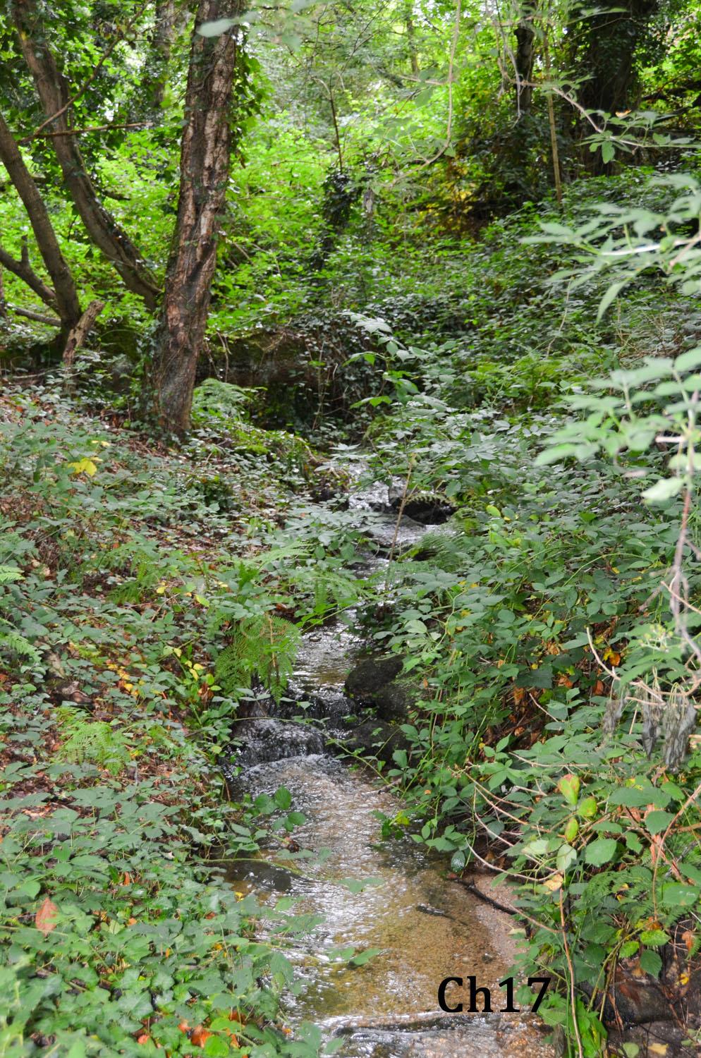 Les randonnées de Quévert Gîte de la Bézardais